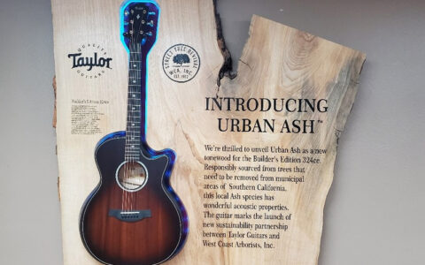 Home - Street Tree Revival