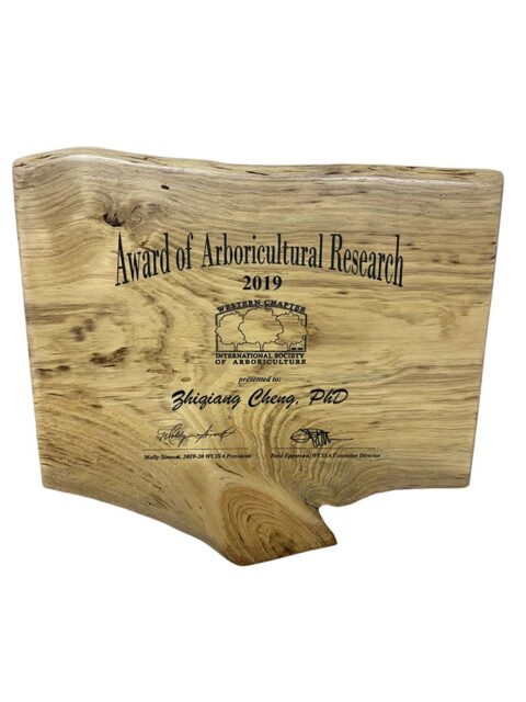 Home - Street Tree Revival