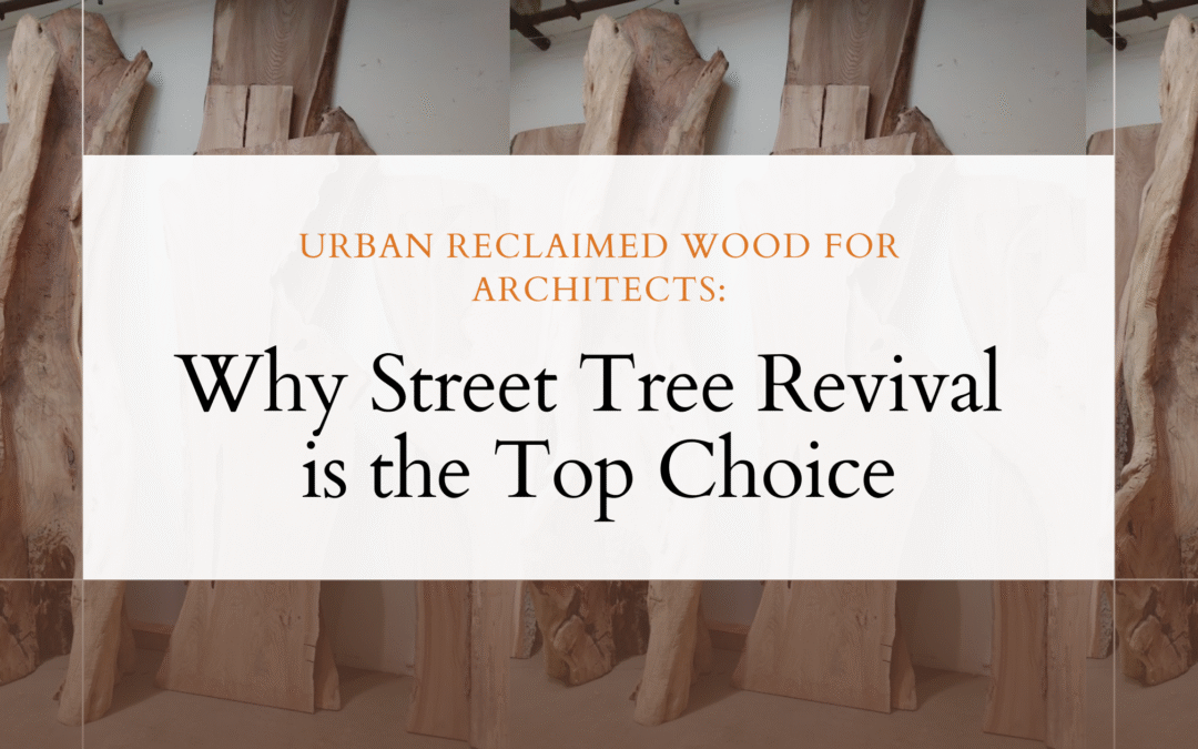 Urban Wood bLOG - Street Tree Revival